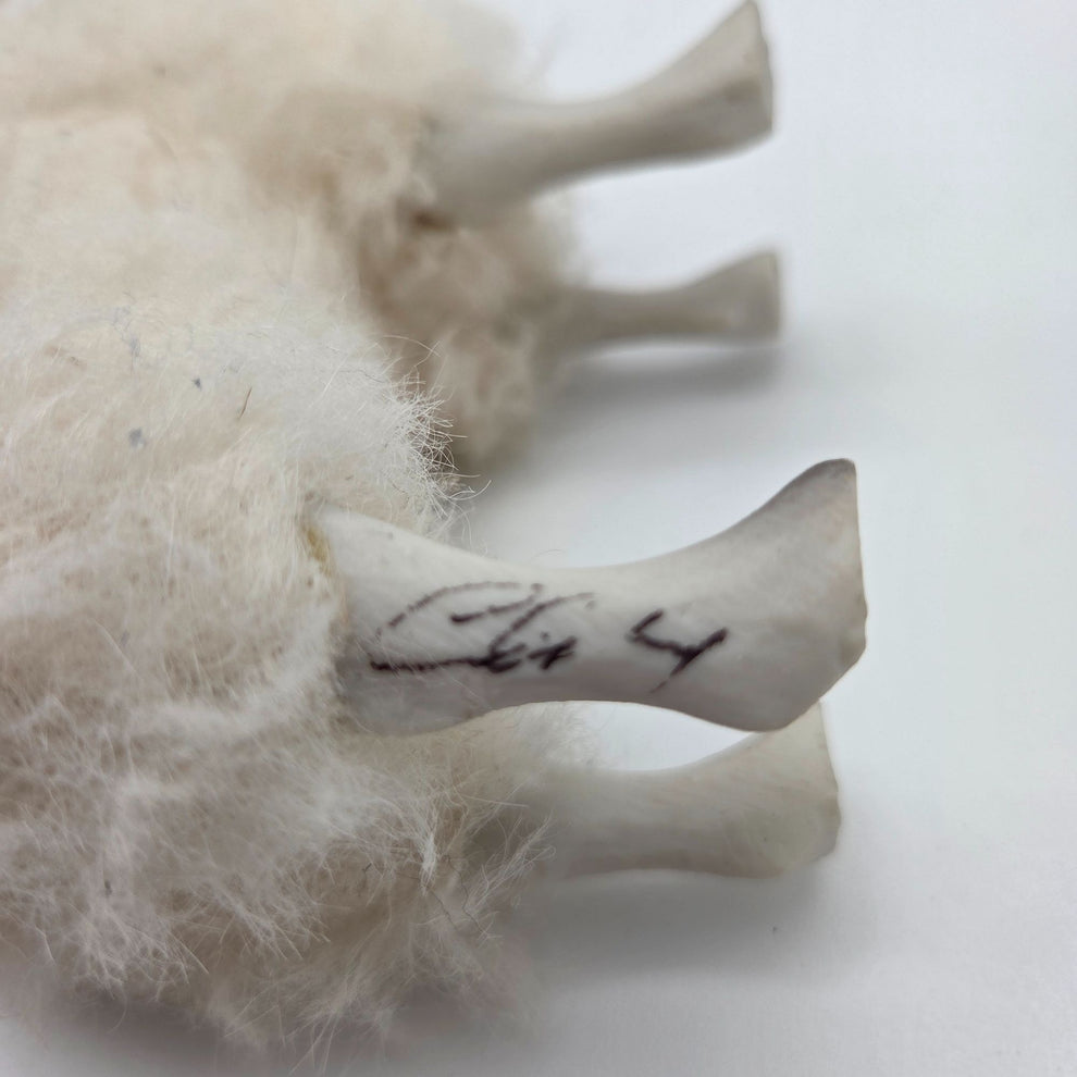 Meier Germany Real Wool Sheep Sculpture Signed – Niche Lady Shop