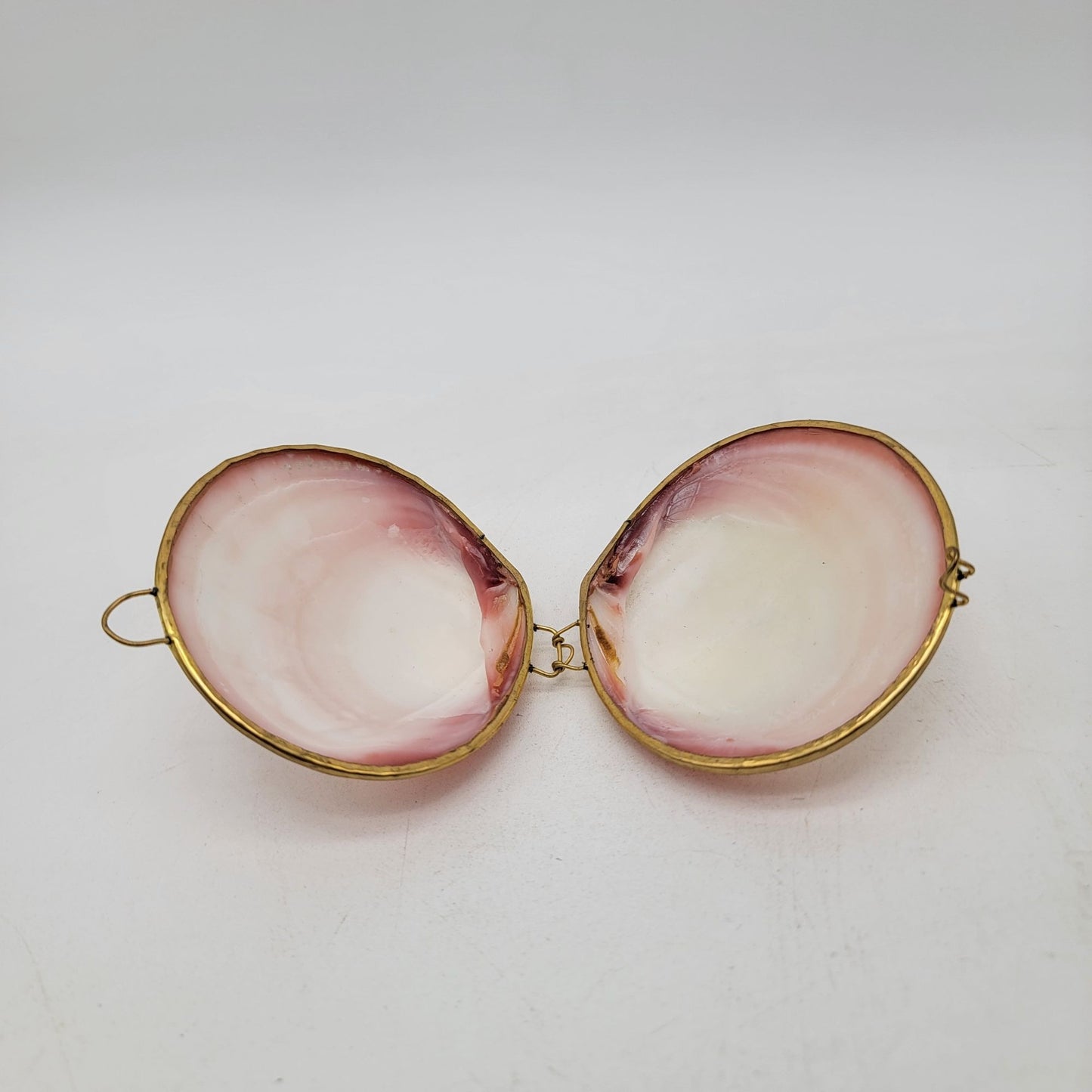 Vintage Pink Shell Hinged Trinket Box – Niche Lady Shop