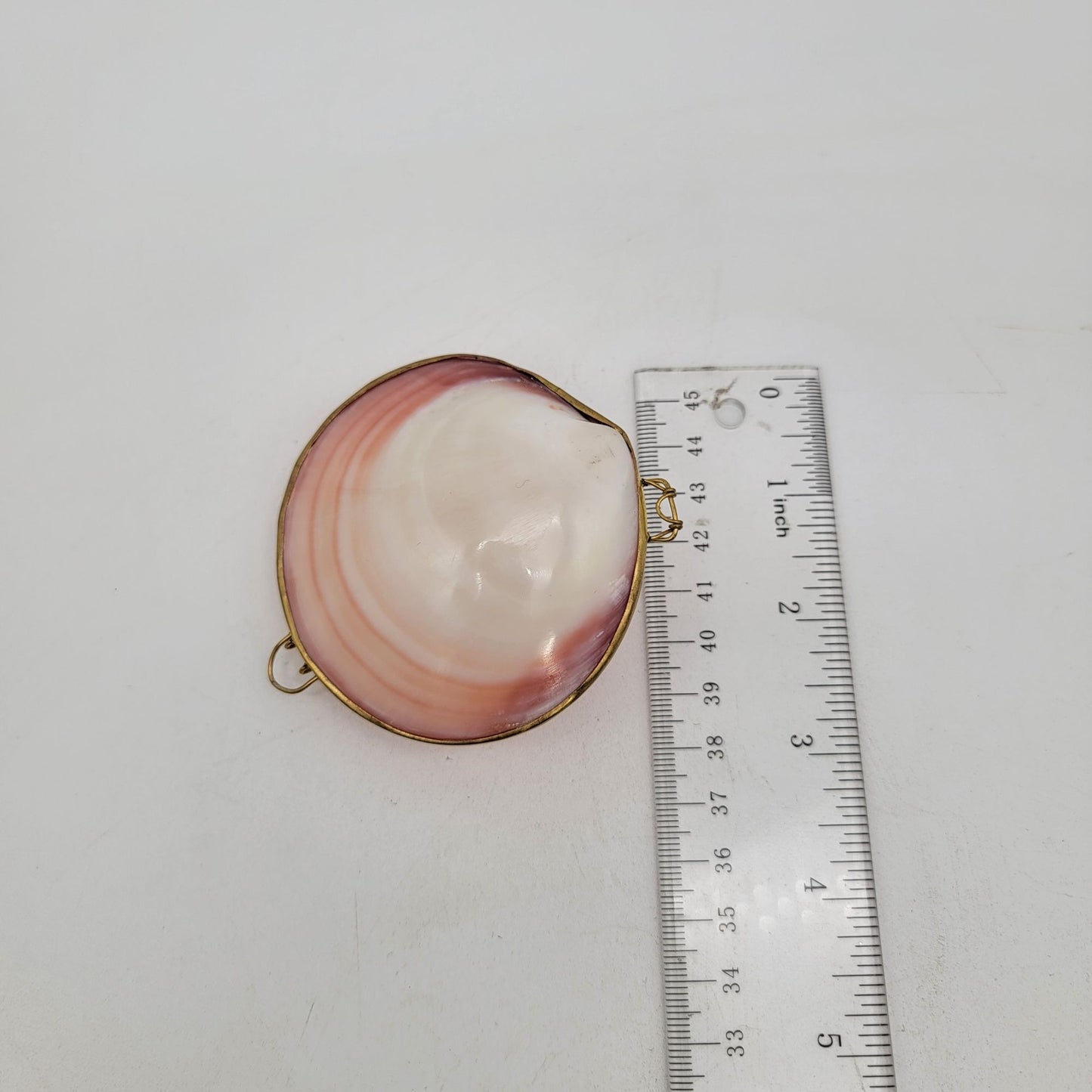 Vintage Pink Shell Hinged Trinket Box – Niche Lady Shop